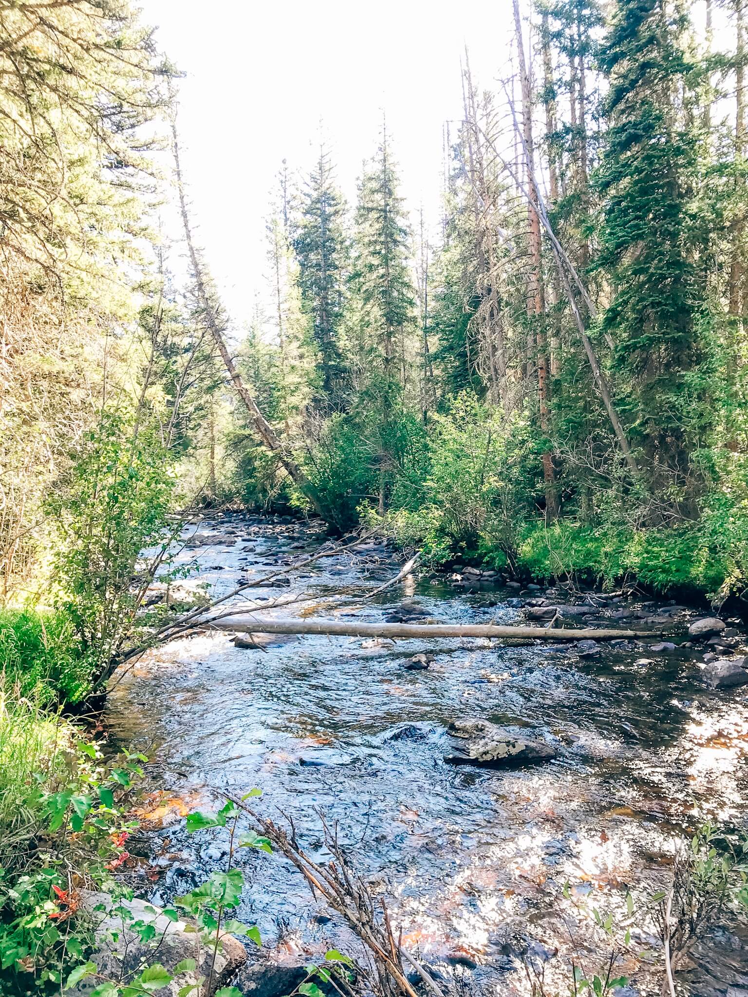 River Run RV Resort in Granby, Colorado