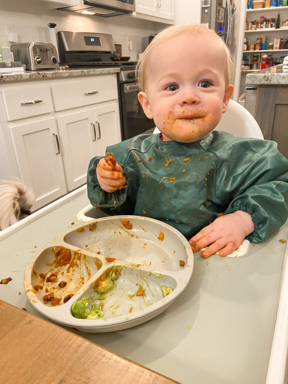 Beef As An Early Food For Babies (Plus Easy Beef Taco Bowl Recipe!)
